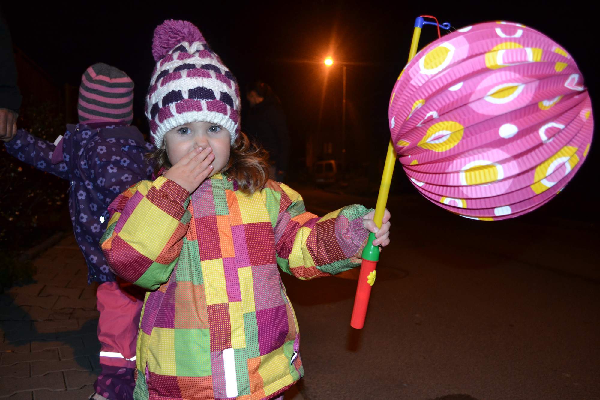 Náš soukromej lampion. průvod – sysin – album on Rajče